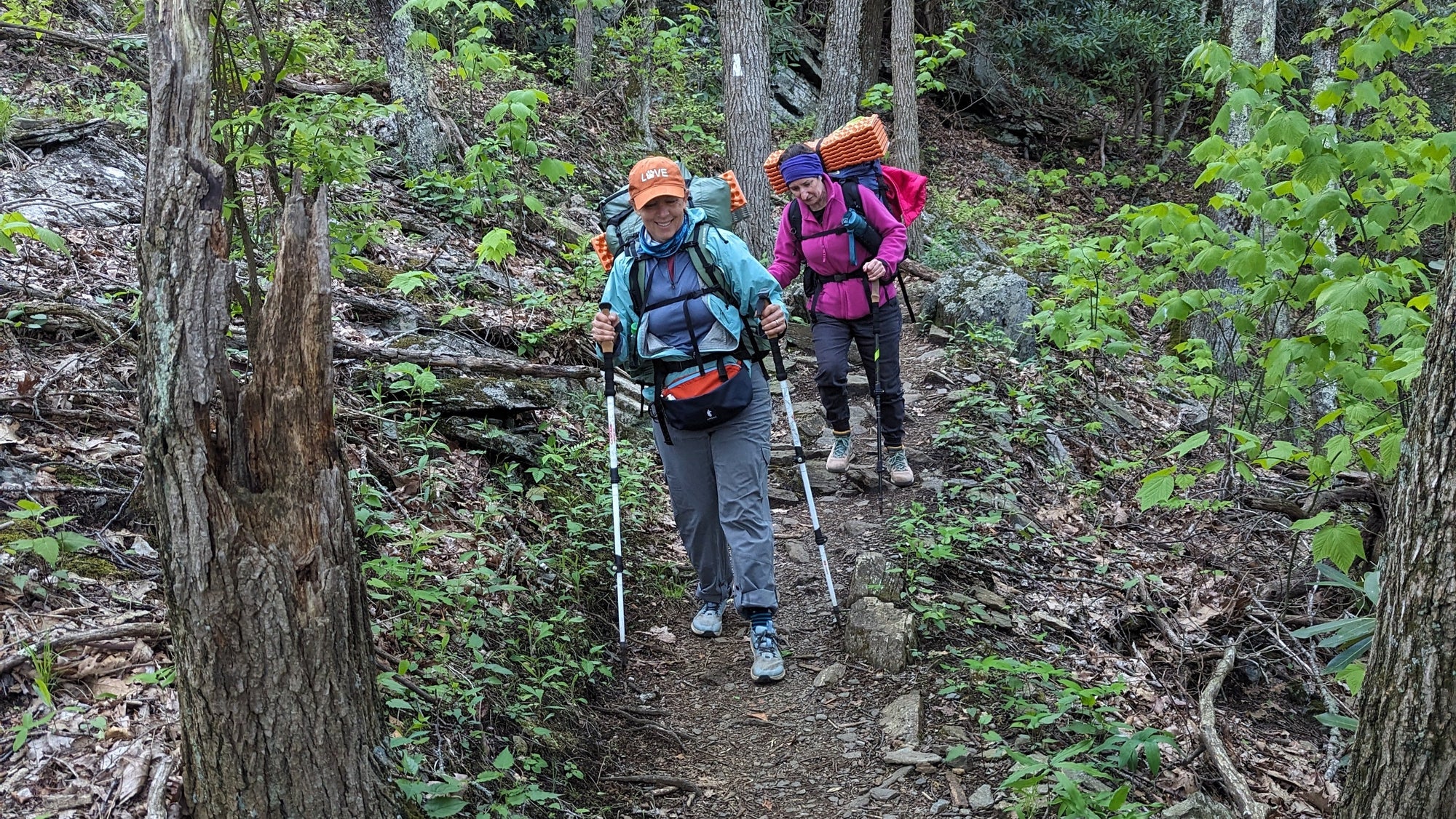 2026 Women's Backpacking Trips – Wildwood Hiking Co.